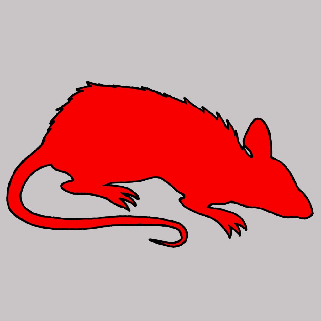 The Cabal of Eight Pt.7: A Red Rat - Ranger Games Publishing